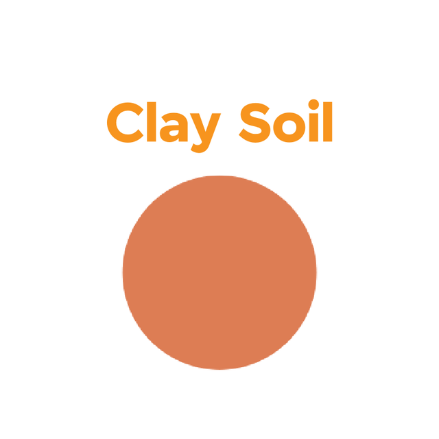 Deeply Rooted Landscapes